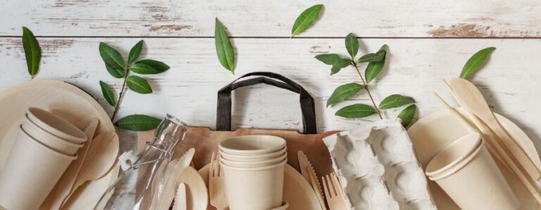 ¿Qué es un envase biodegradable? Todo lo que necesitas saber - Termax Argentina